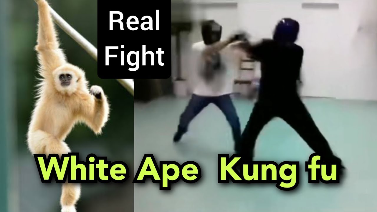 Real Kung fu fight: EP 30 / tong bei quan vs boxing/ It's about gong fu ...