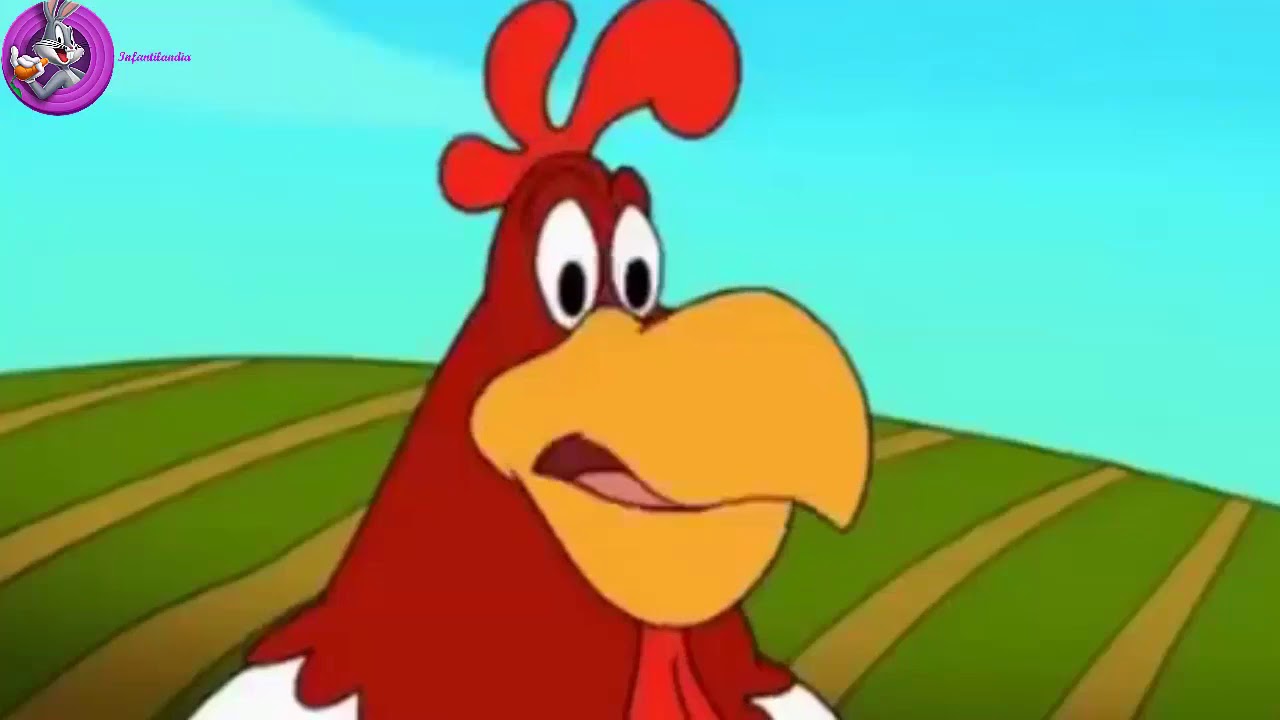 Duelo de Gallos - El Gallo Claudio - En Español - YouTube