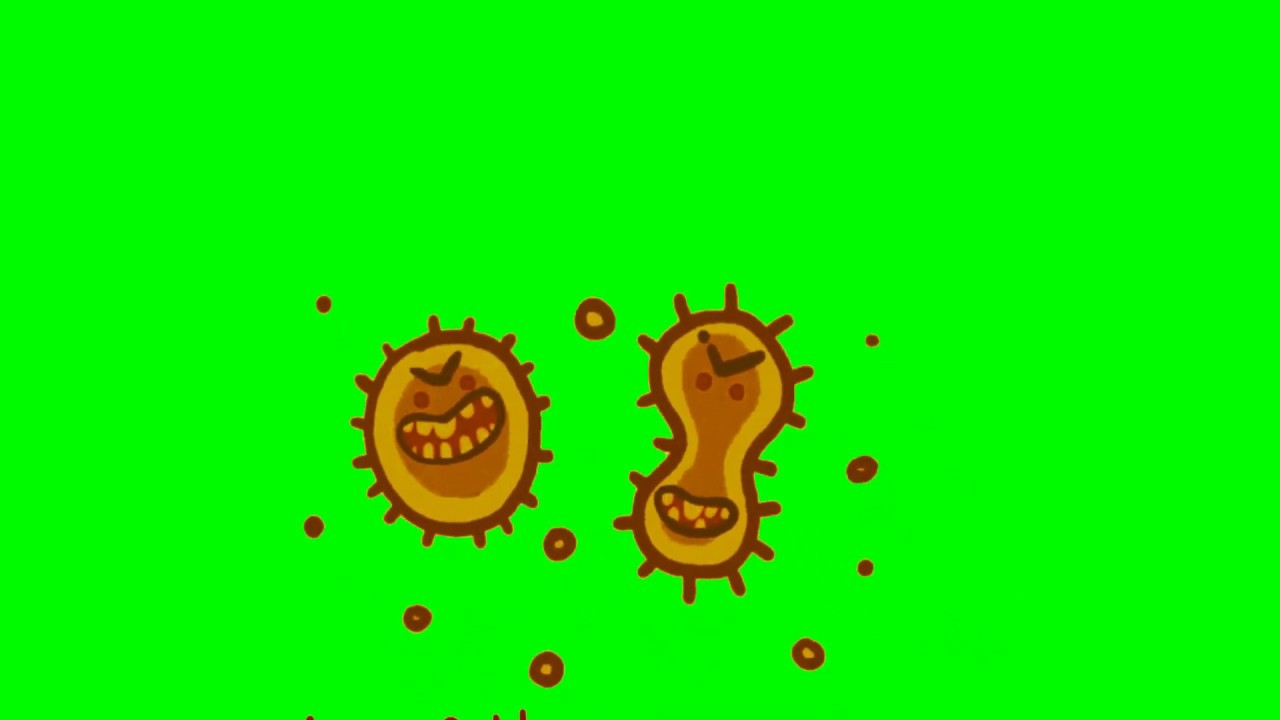 Virus Cartoon Animation green screen with many effecsts and types - YouTube