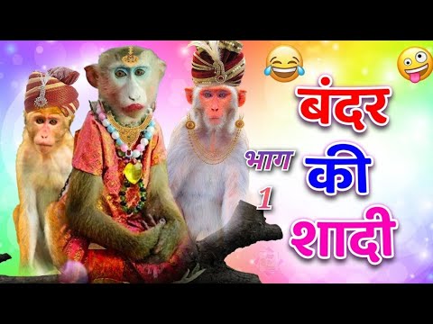 #viralvideo bandar ki shaadi #kavya_cassette 😂😂😂 - YouTube
