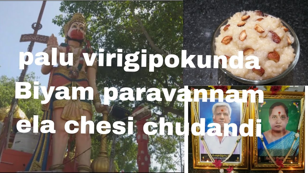 palu virigipokunda Biyam paravannam ela chesi chudandi # ...