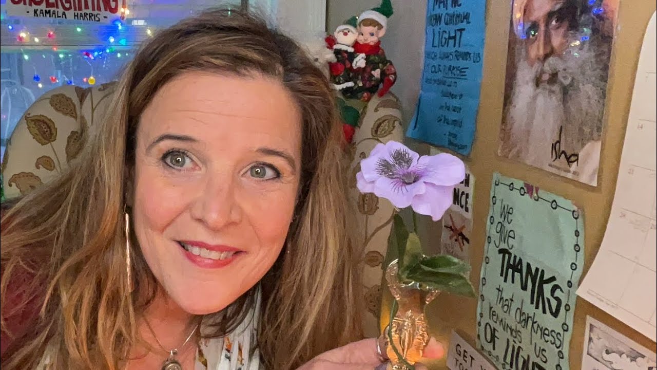 Annette Dion is live! PNN: Psychic News Network, Wednesday🐪 April 17 ...