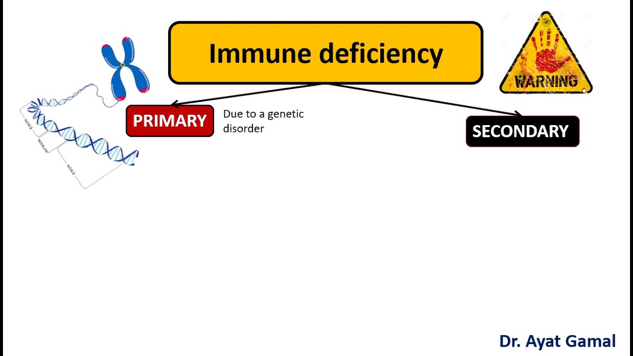 2. Immune deficiency -complement disorders - YouTube