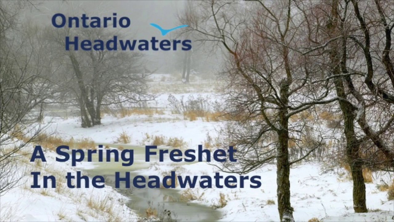 Spring Freshet - Ontario Headwaters Institute - YouTube
