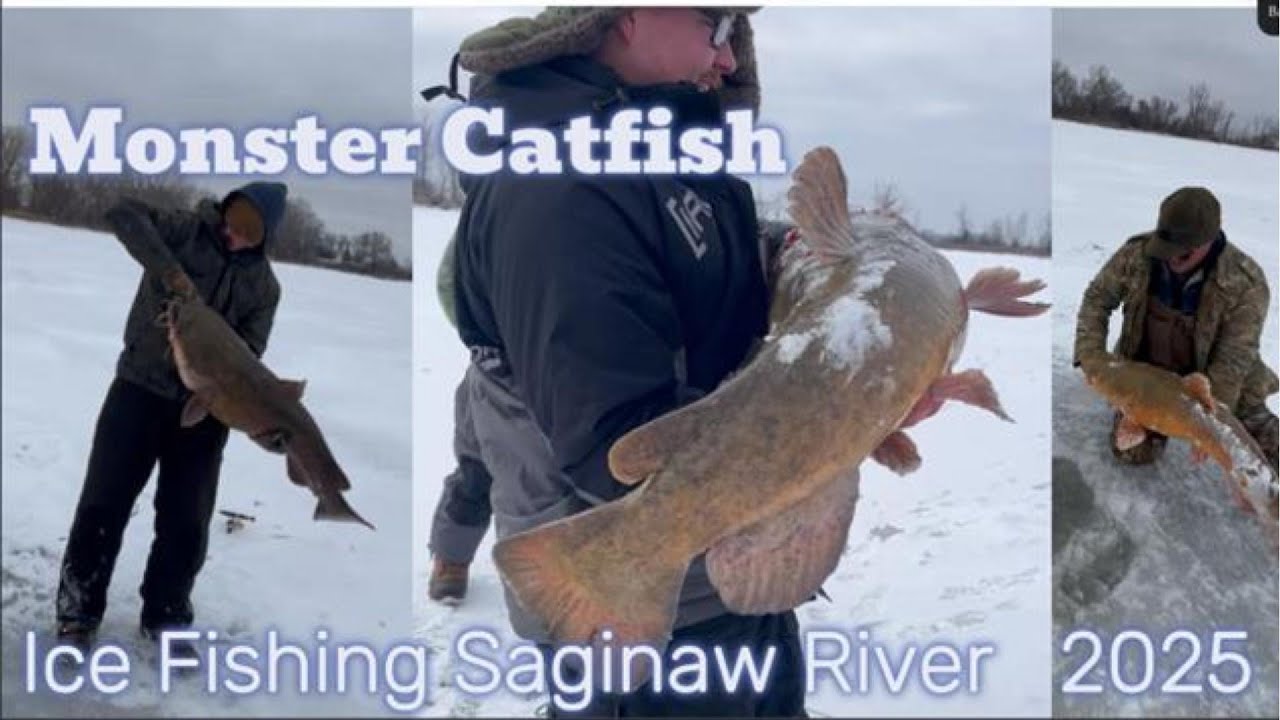 Monster Catfish - Ice Fishing on the Saginaw River - YouTube