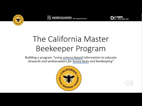 What is the California Master Beekeeper Program? - YouTube