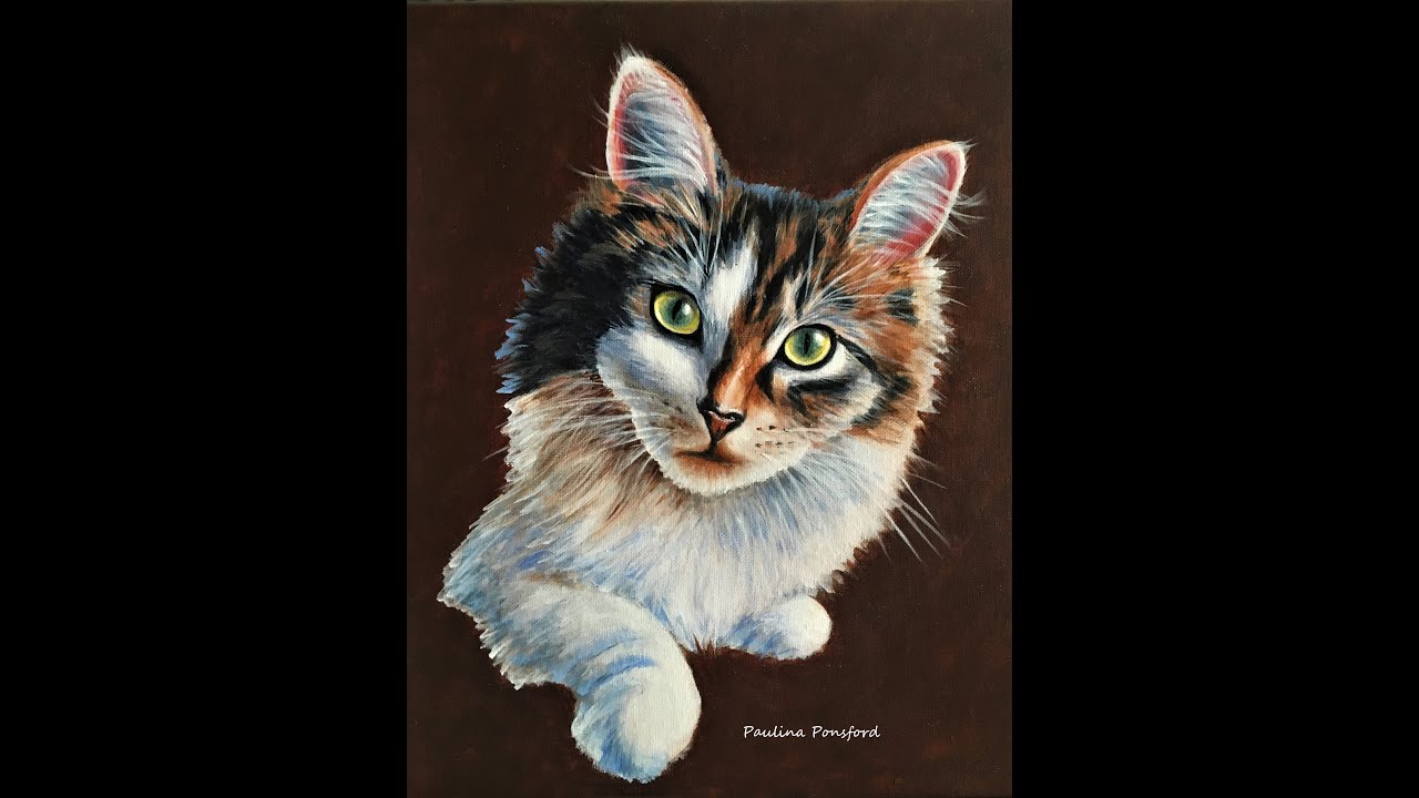 Painting a Cat Pet Portrait step by step with Paulina Art - YouTube