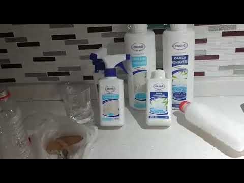 SABUN CEVİZİ AĞACI RİTHA