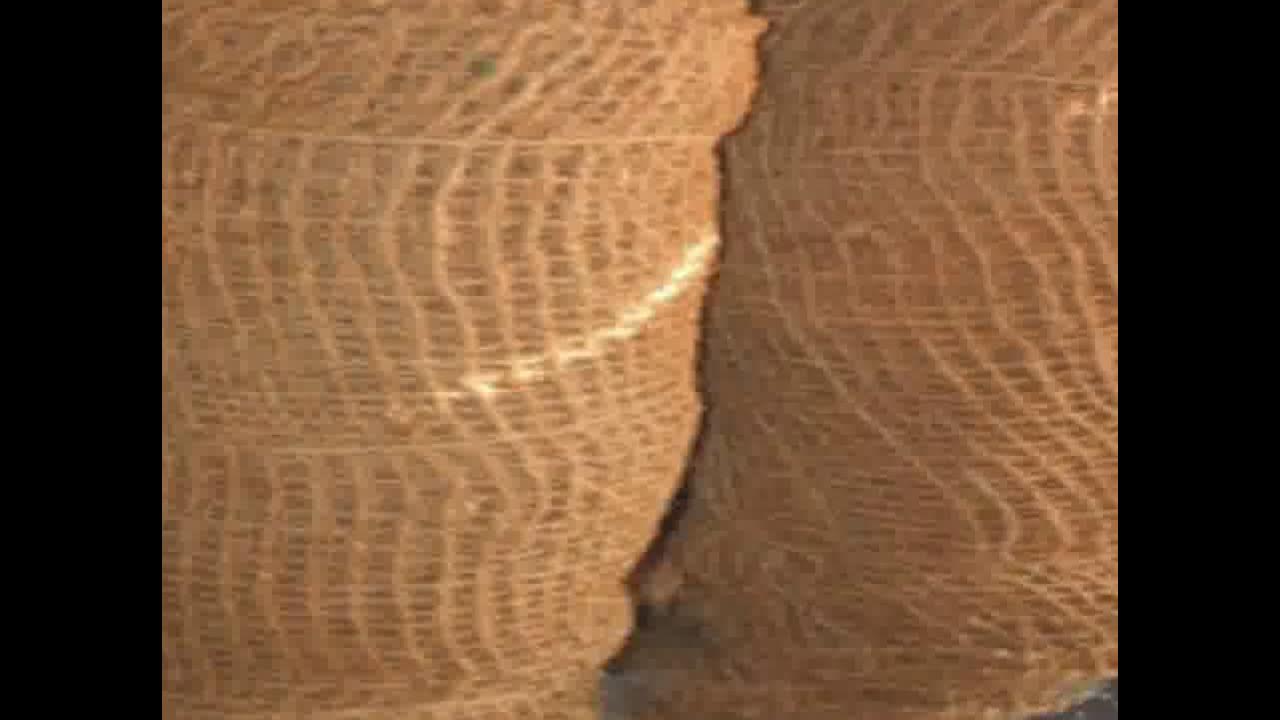 Coir Geotextile Coir Netting Function - YouTube