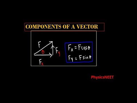 COMPONENTS OF A VECTOR | Resolution Of a Vector | Class 11 Physics ...