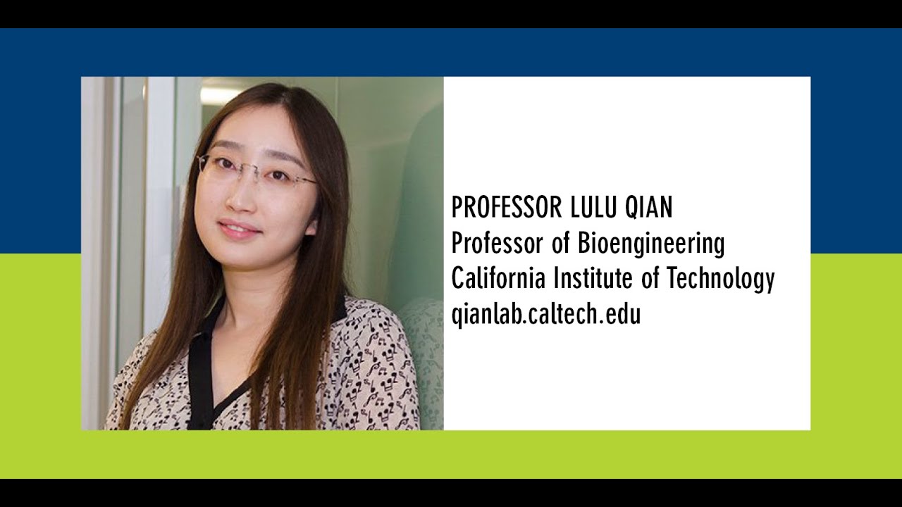 Department Seminar: Professor Lulu Qian from Caltech - YouTube