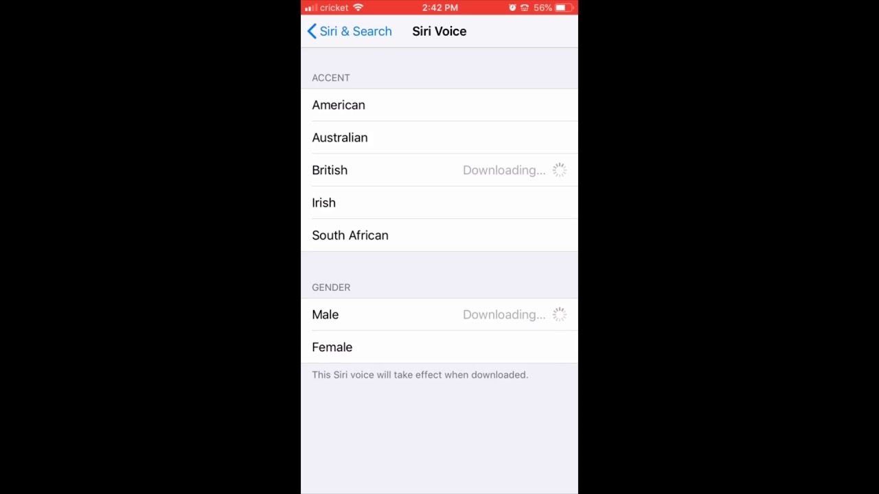 South African Siri - YouTube
