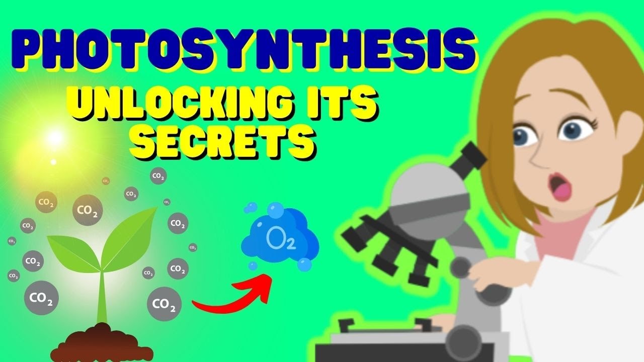 What is photosynthesis and why is it important - YouTube