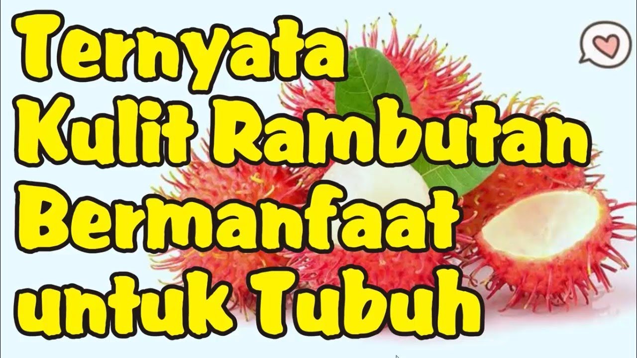 Manfaat Kulit Rambutan bagi Kesehatan - YouTube