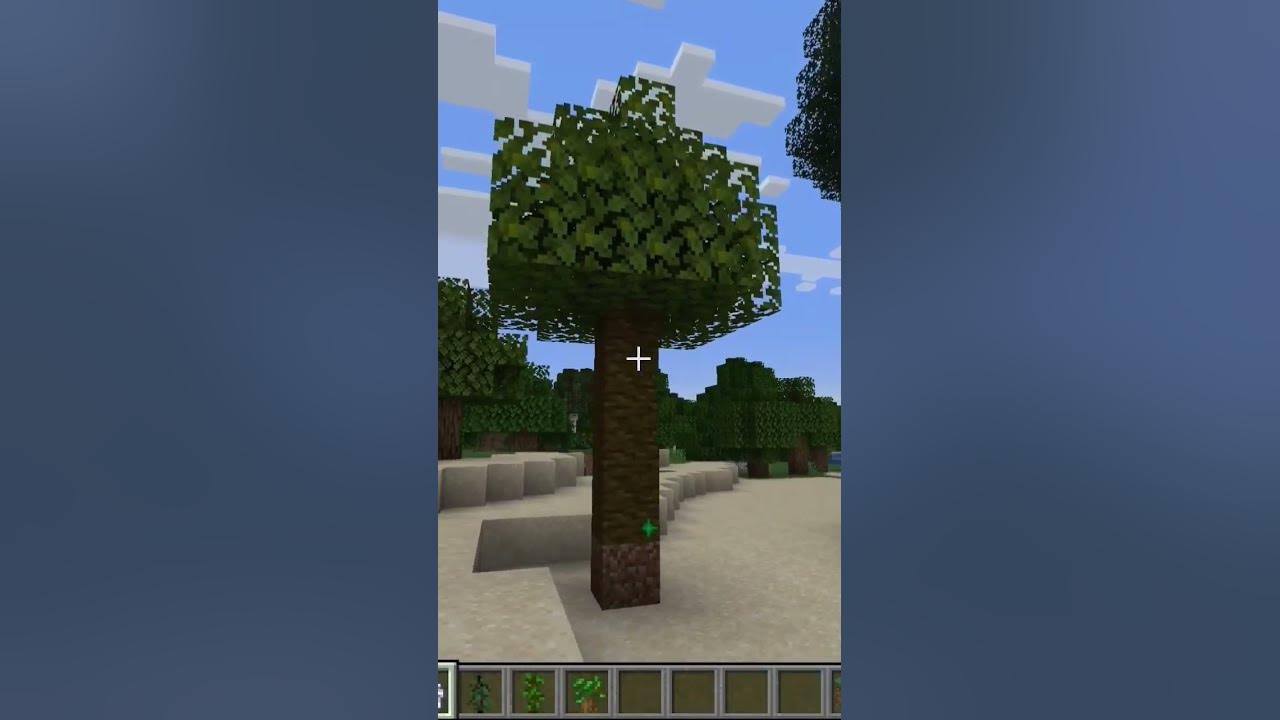 How to Grow Big Trees in Minecraft (Java & Bedrock) #minecraft #shorts ...