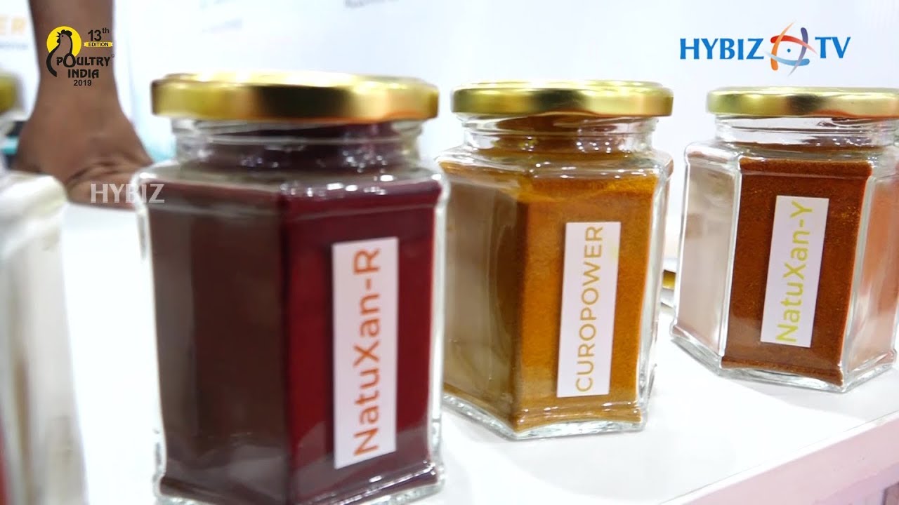 Flavour Trove Animal Health | Animal Health Care Products - YouTube