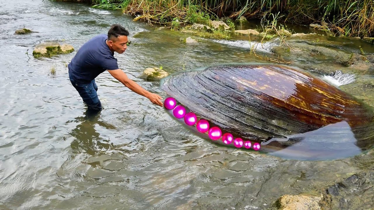 Take out a very large pearl from the belly of a river clam, and it's ...