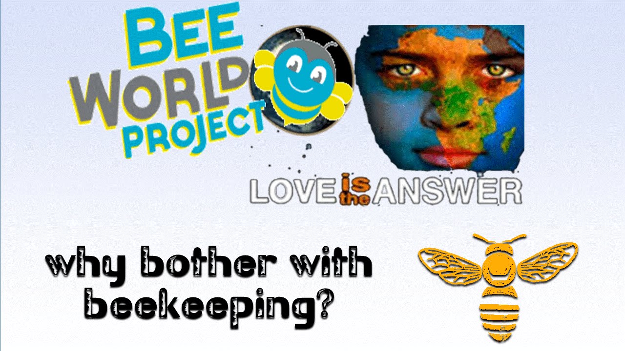 Bee World Project-- Why bother with beekeeping? - YouTube