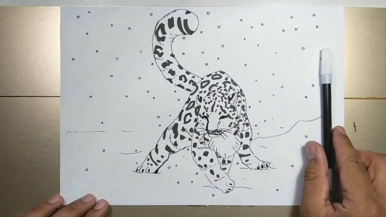 How to draw SNOW LEOPARD in 5 minutes - YouTube
