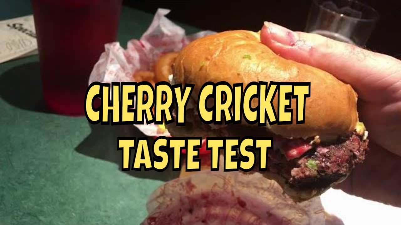 Denver's Cherry Cricket: The Ultimate Burger Experience Reviewed! - YouTube