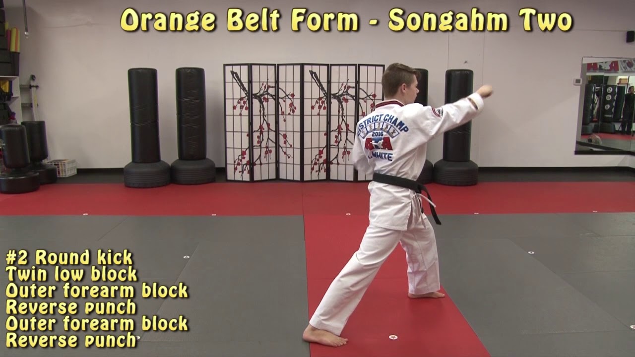 Songahm 2- Orange Belt Form - YouTube