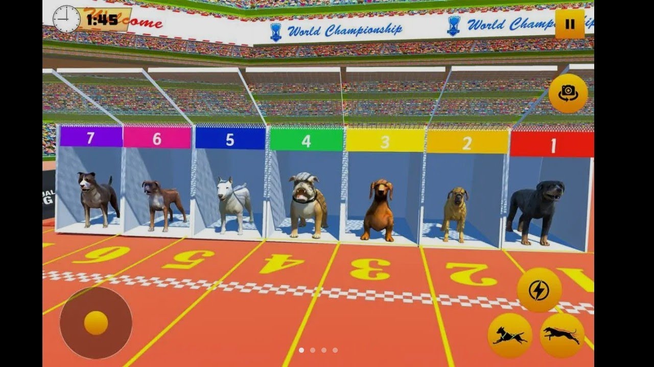 dog racing video doma gaming 😎😎😎 - YouTube