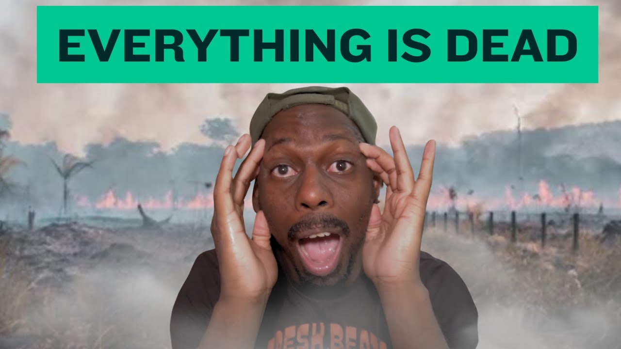 The AMAZON Rainforest is Dying at an Alarming Rate! - YouTube
