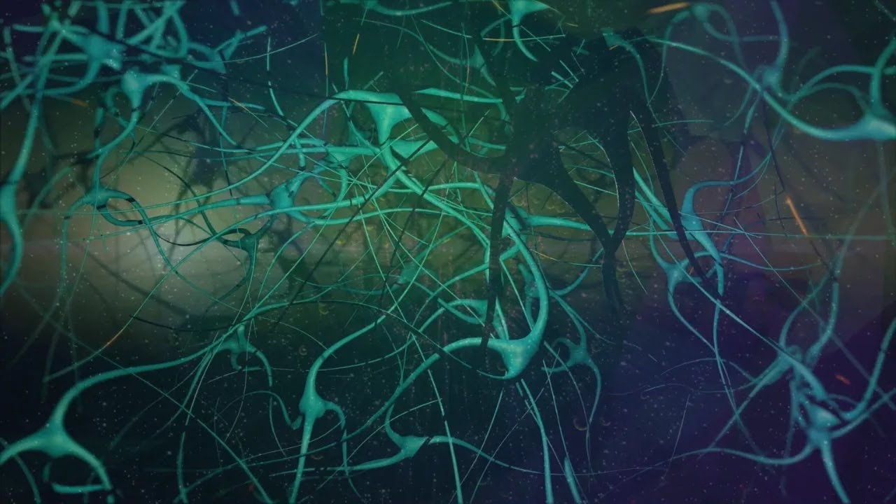 Manifest What You Want | 432 Hz Brain Activation - YouTube
