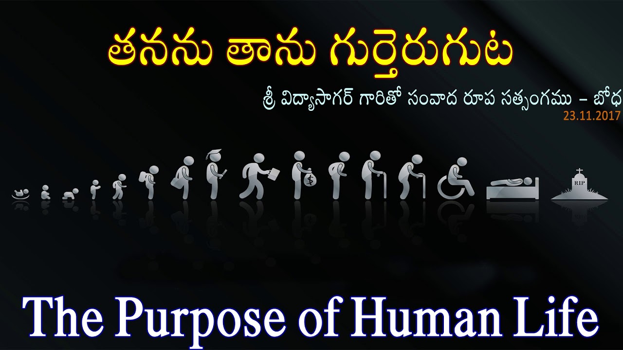 Purpose Of Human Life YouTube purpose-of-human-life-youtube