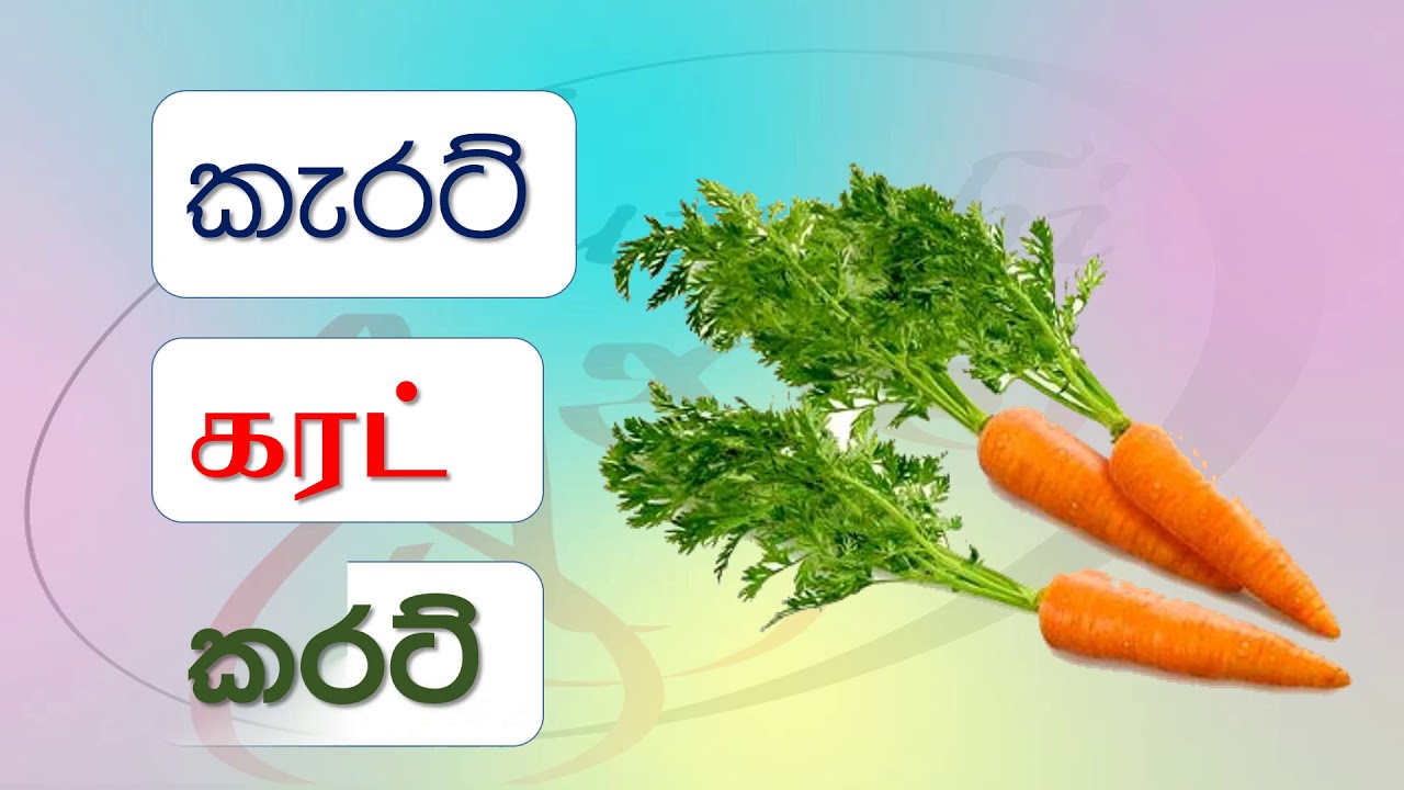 Vegetables In Tamil YouTube vegetables-in-tamil-youtube