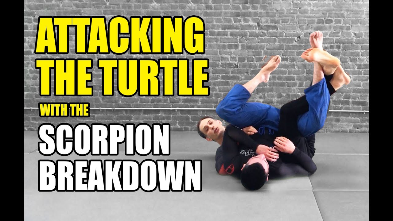 Scorpion Breakdown: Attacking Turtle Position No Gi BJJ - YouTube