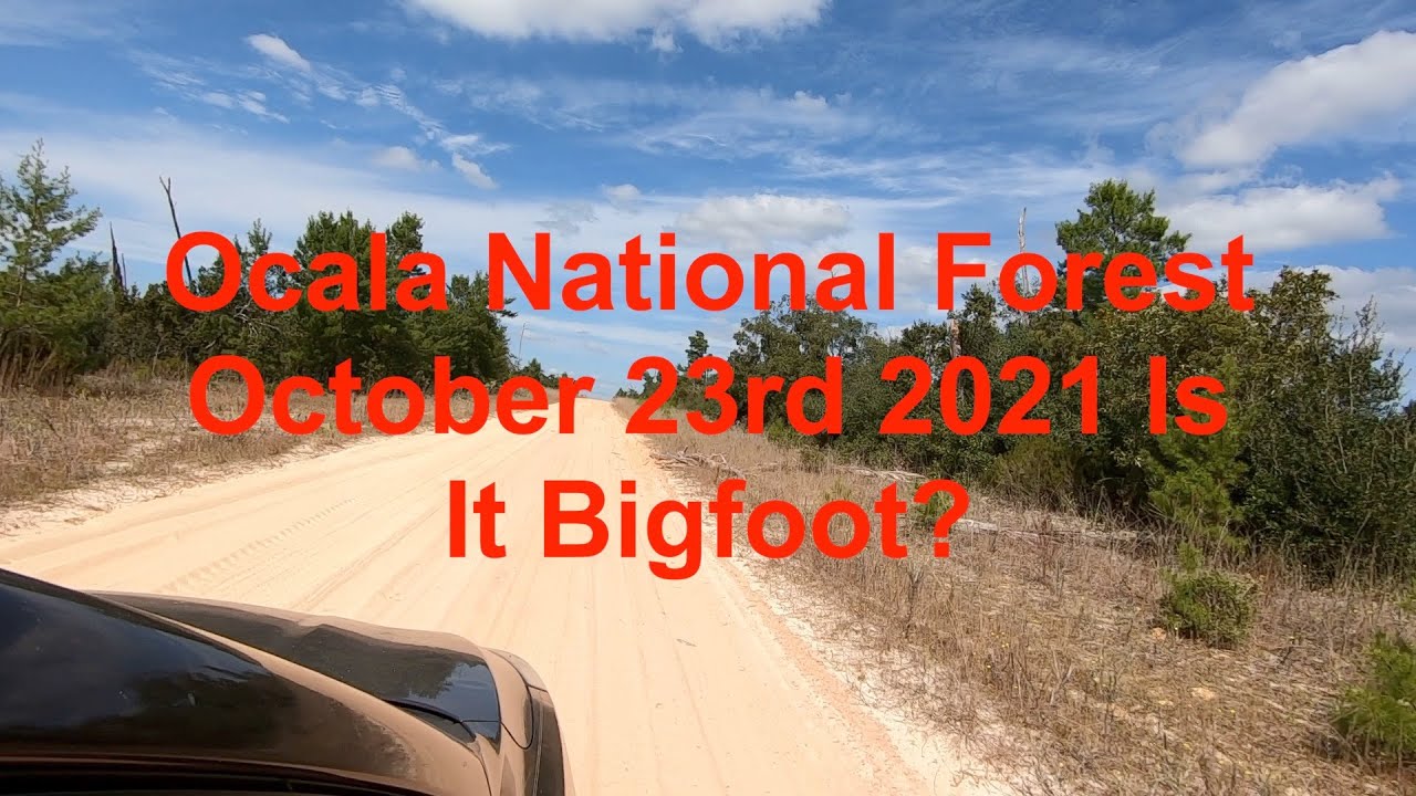 Ocala National Forest October 23rd 2021 Is It Bigfoot? #lisasescapades ...