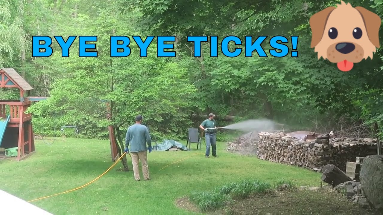 BYE BYE TICKS - YouTube
