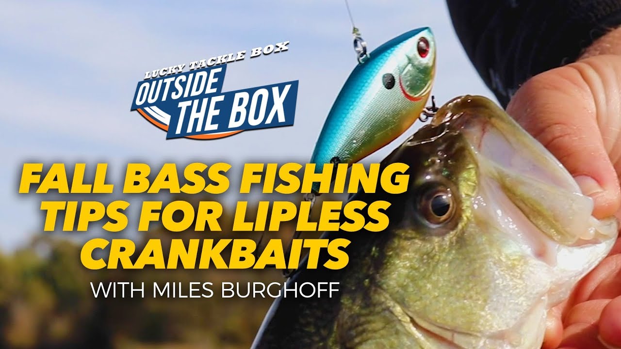 Fall Bass Fishing Tips for Lipless Crankbaits - YouTube