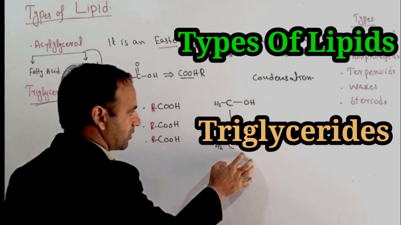 Triglycerides | Acylglycerol | Types of Lipids | Biological Molecules ...