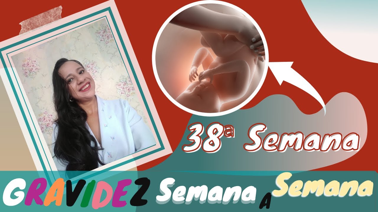 38 Semanas de Gravidez/ Sintomas da Mamãe e Desenvolvimento do Bebê ...
