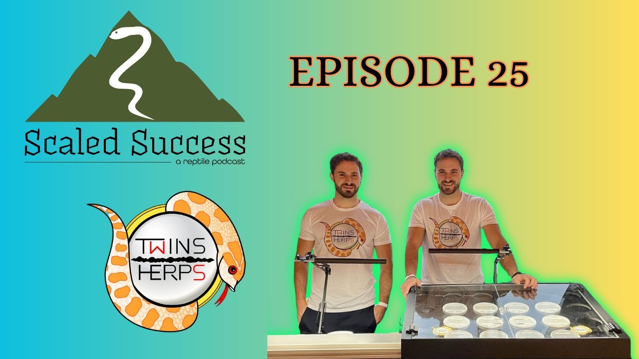 Scaled Success Reptile Podcast EP. 25 - Twins Herps Marco & Simone ...