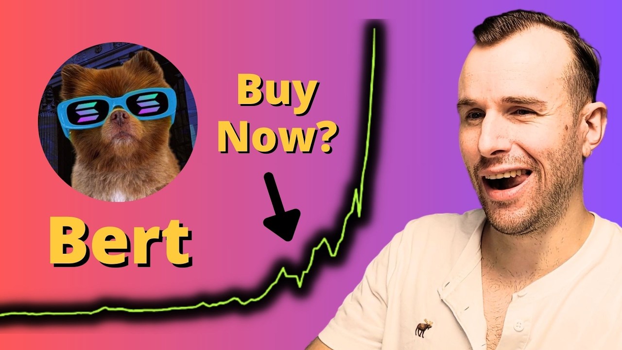 Why Bert Is Up... ⚠ Bertram The Pomeranian Crypto Token Analysis - YouTube