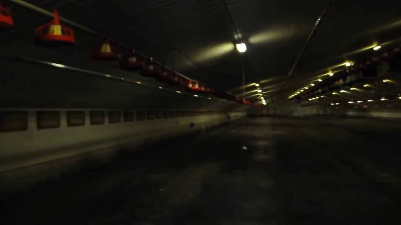 ATOM 2000 Sprayer Industrial Disinfection - YouTube