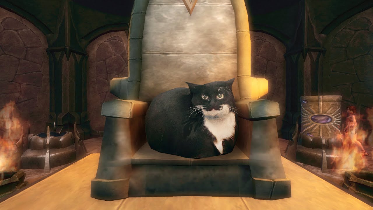 Maxwell the Overlord Cat - YouTube