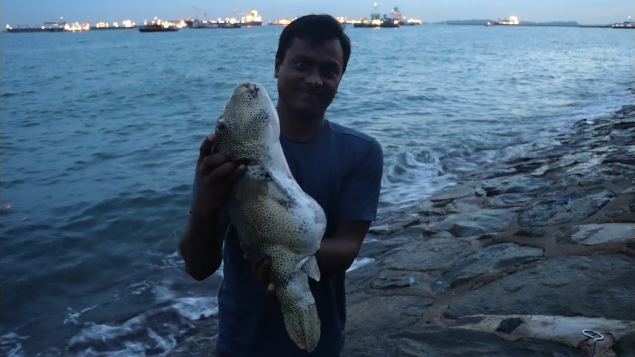 Sea fishing The most expensive fish - YouTube