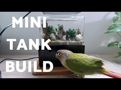 Mini Complete Tank Build - YouTube