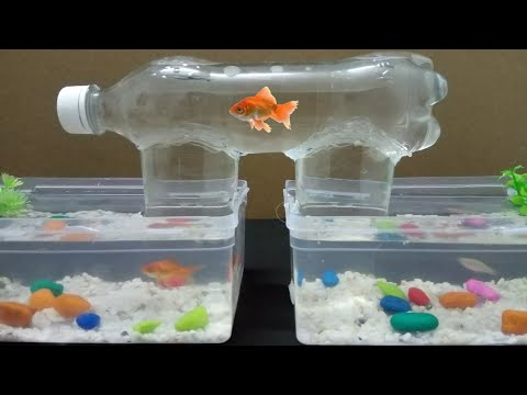 Multi level aquarium making using Plastic bottle - YouTube