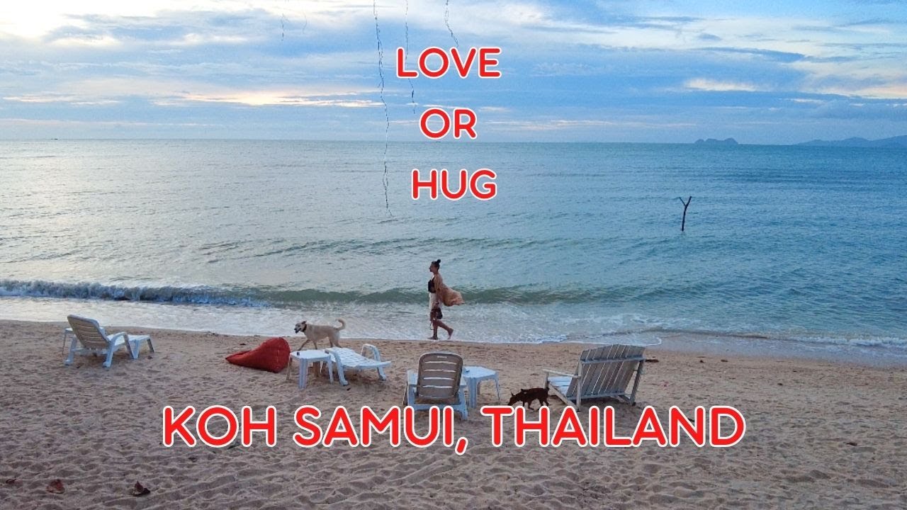Love Samui or Hug Samui, the paradise to escape, relax, massage, drink ...