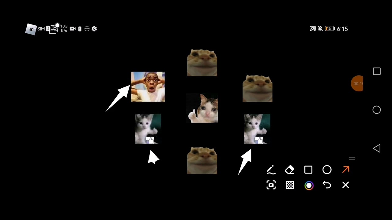 The cat cult has arrived - YouTube