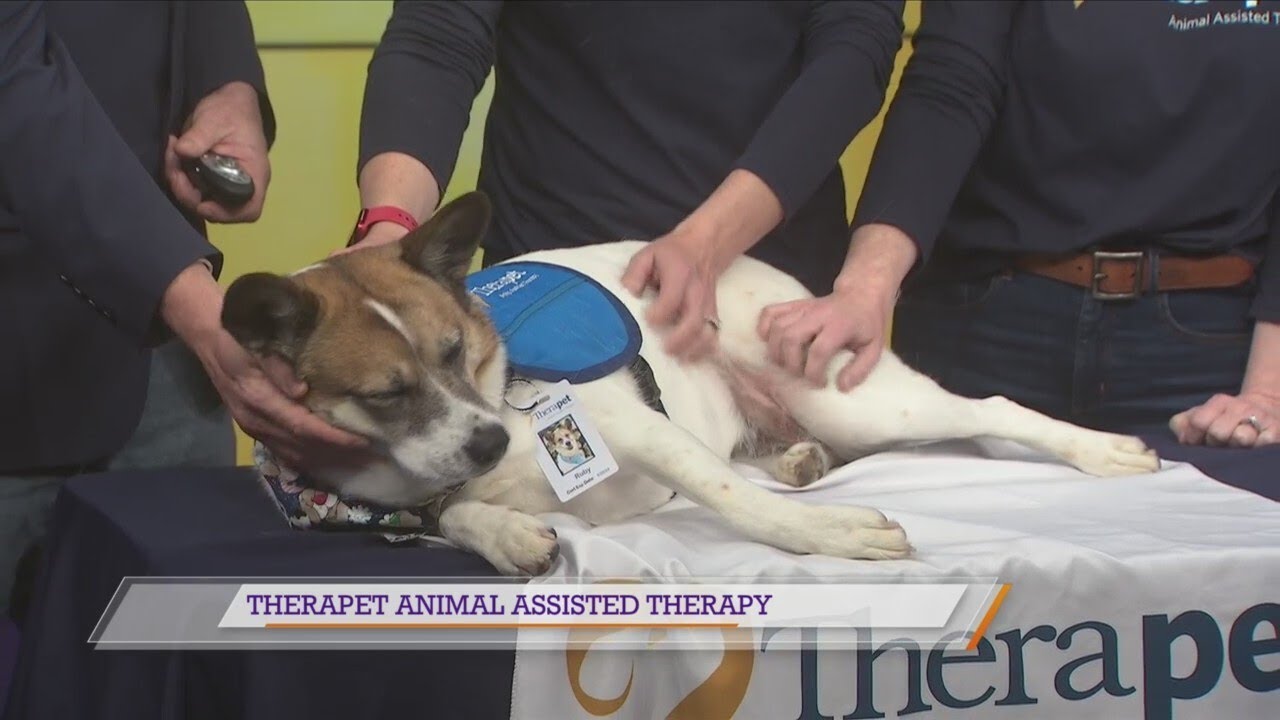 How to get involved in Therapet - YouTube