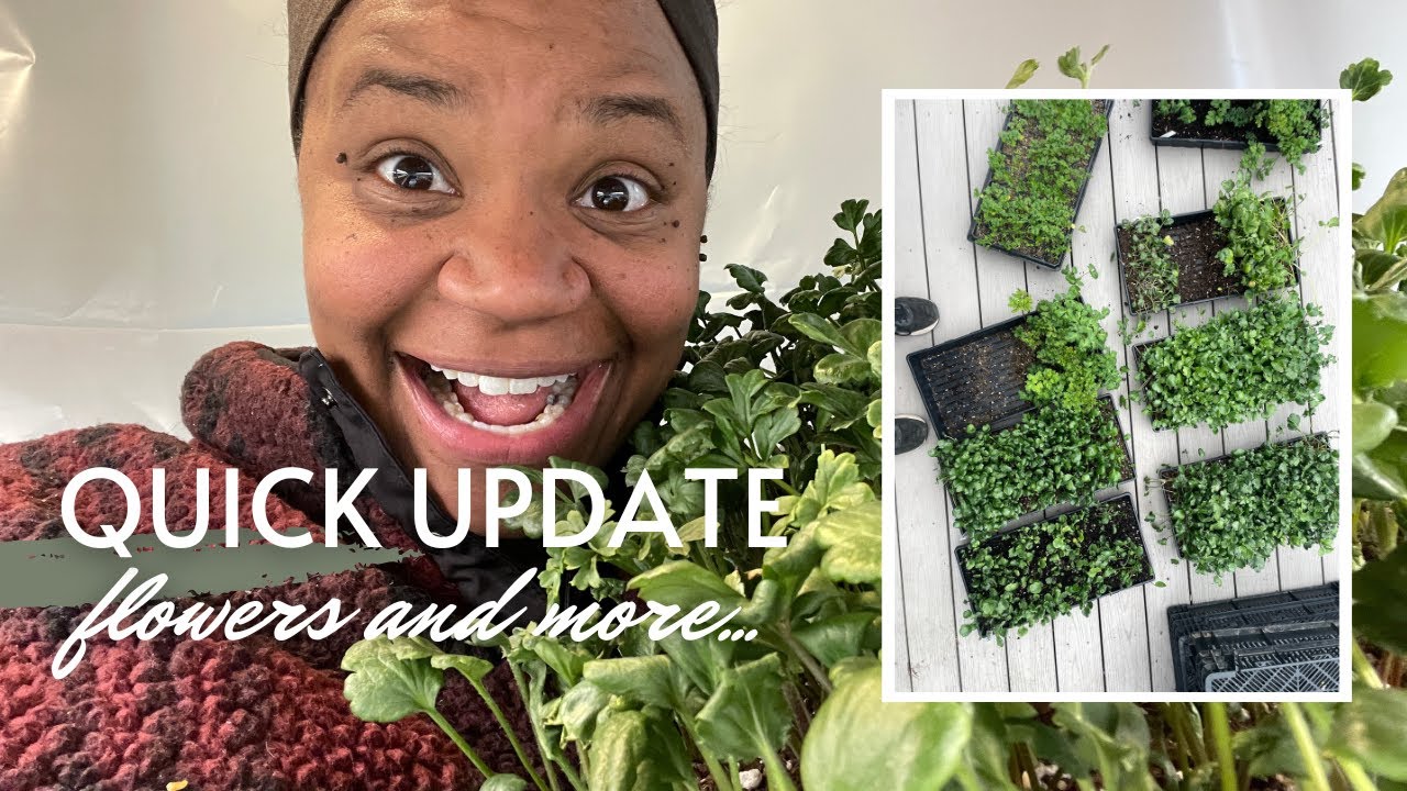Quickest Update Ever (Flowers, Build, Rental, Moving!) - YouTube
