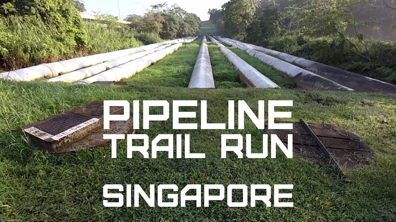 20170415 Singapore pipeline trail run - YouTube