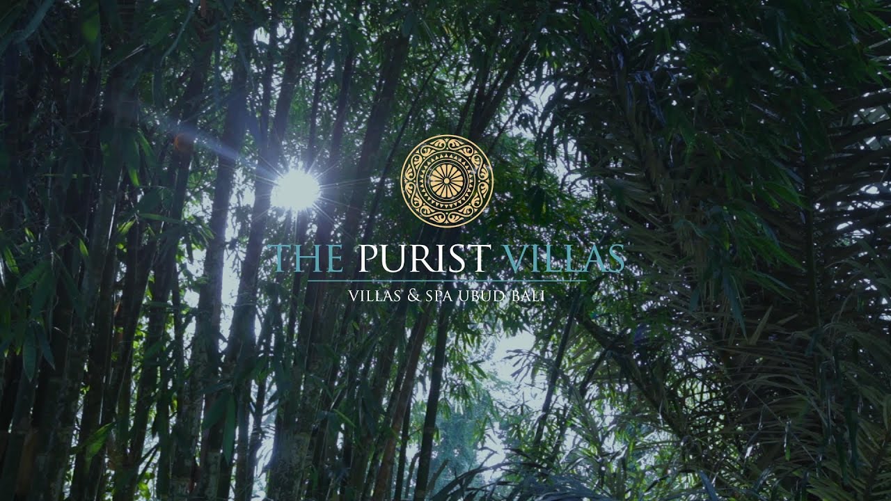 The Purist Villas Ubud, Bali - A Luxury Design Resort In Paradise - YouTube