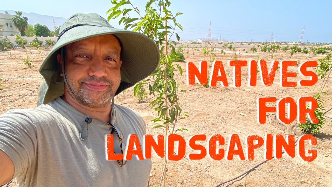 Best Wild Native Eastern Omani Plants for Landscaping 🌱 - YouTube